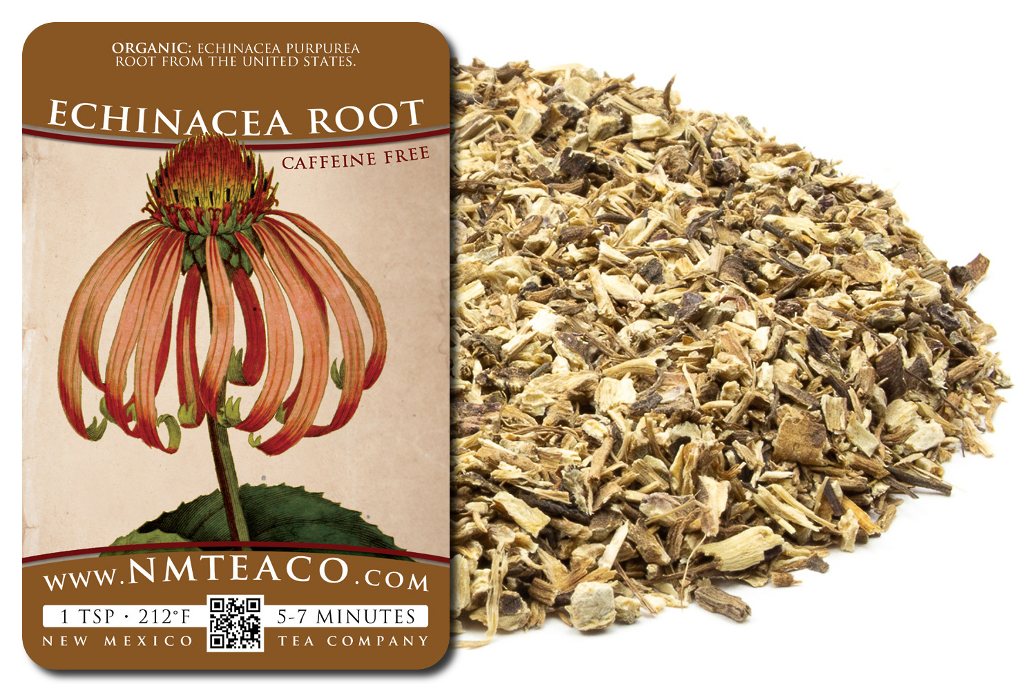 Echinacea Purpurea Root Echinacea Purpurea Extract Echinacea Extract|