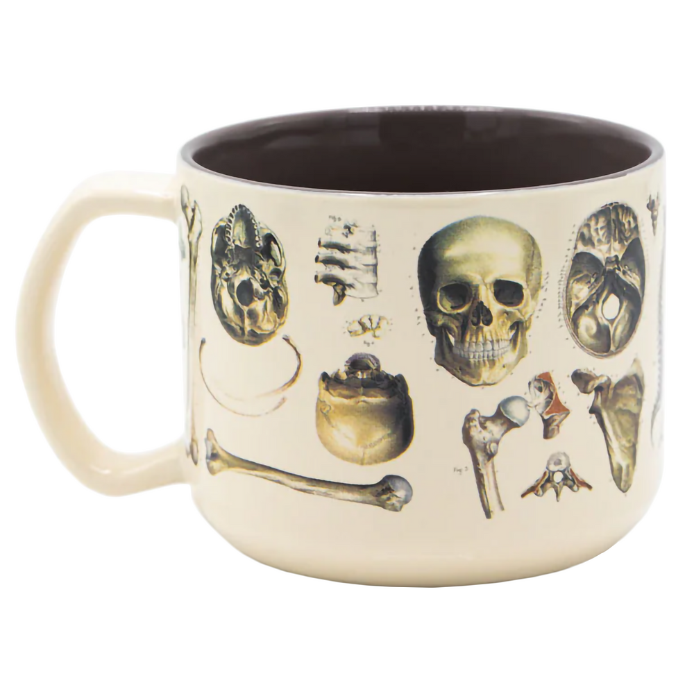 Skeleton Anatomy | 15oz Mug